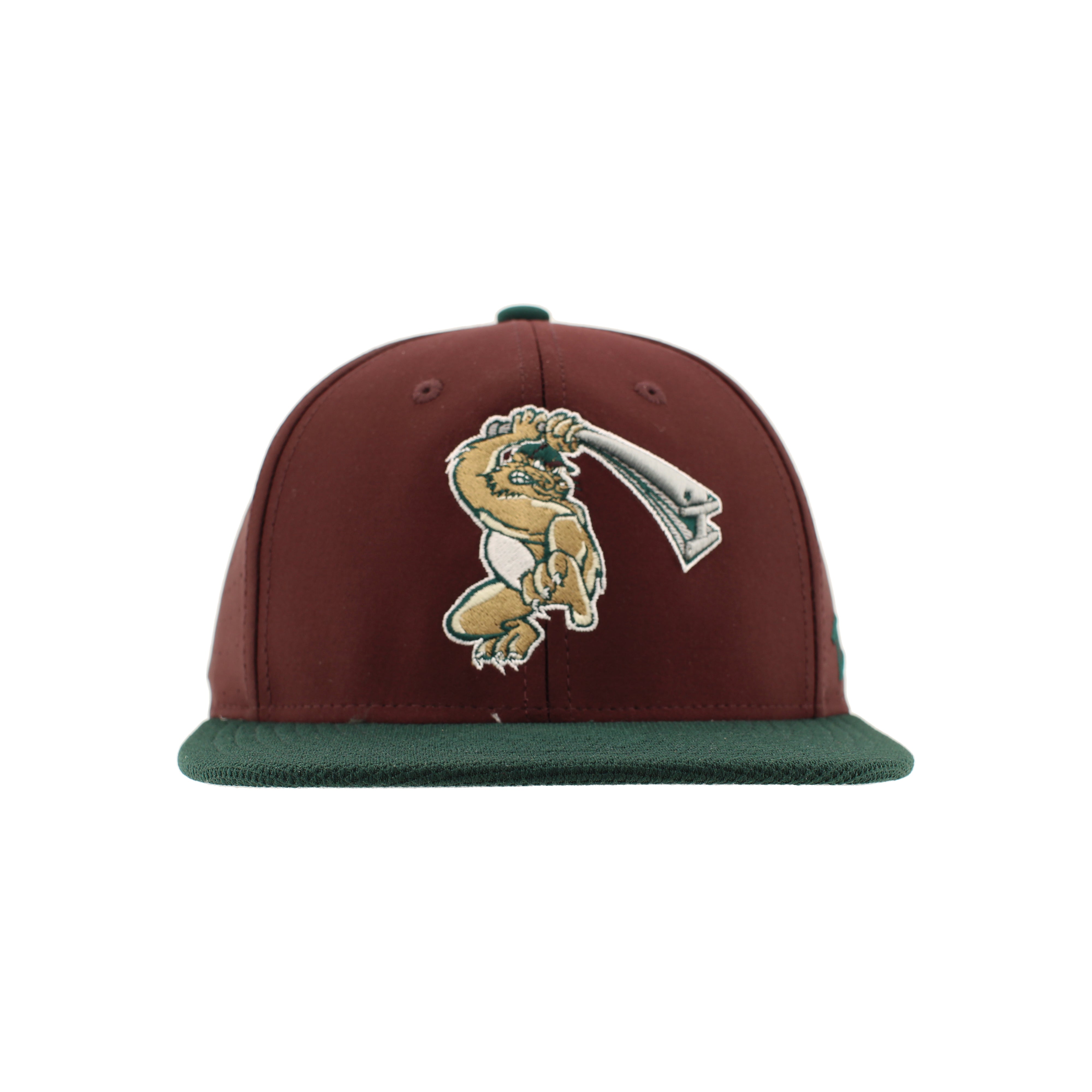Hats – Gary SouthShore RailCats Team Store